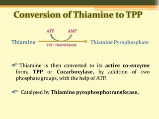 Thiamine & Niacin | PPTX