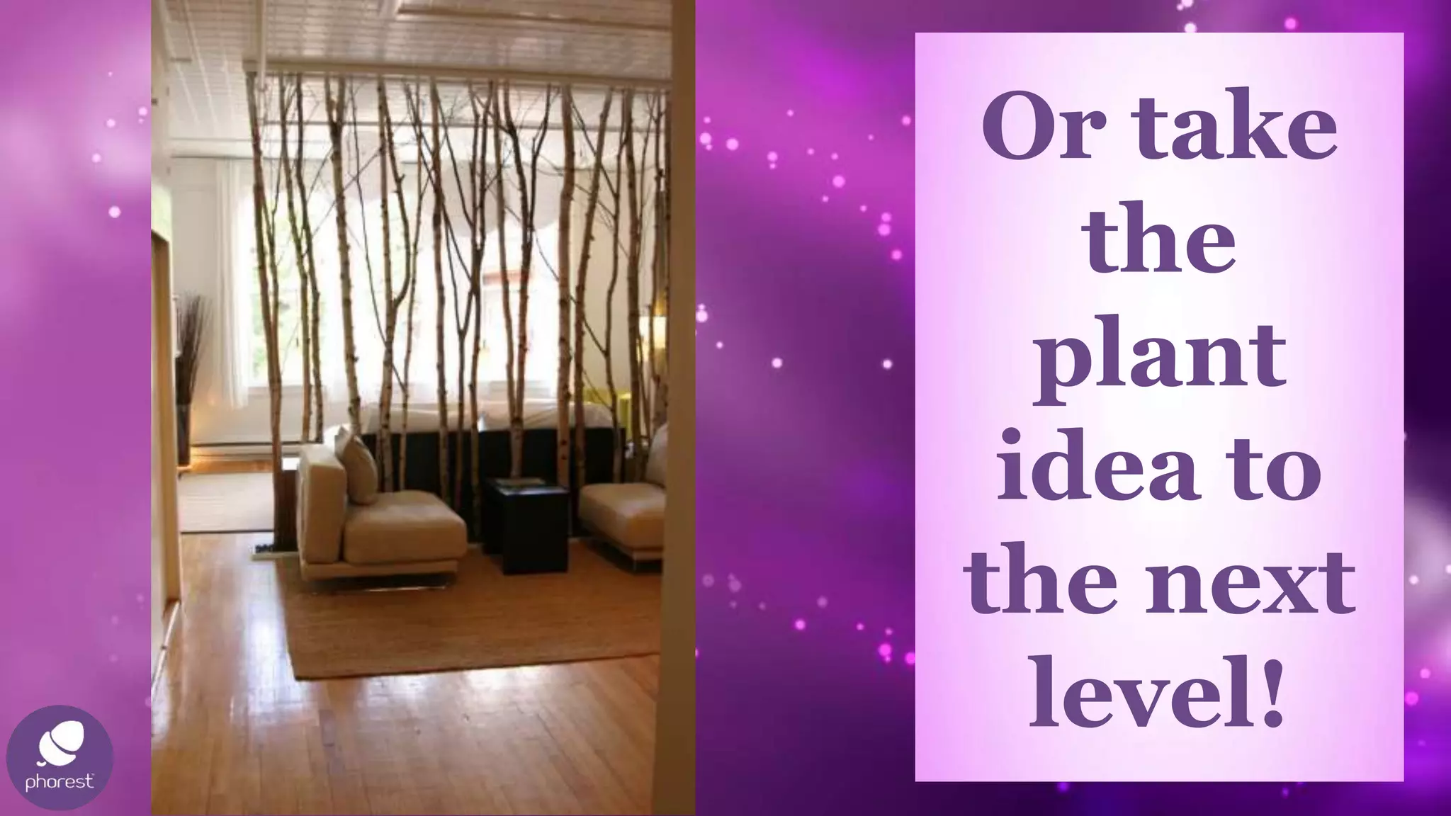 Fantastic Salon Room Dividers From Around The World | PPTX