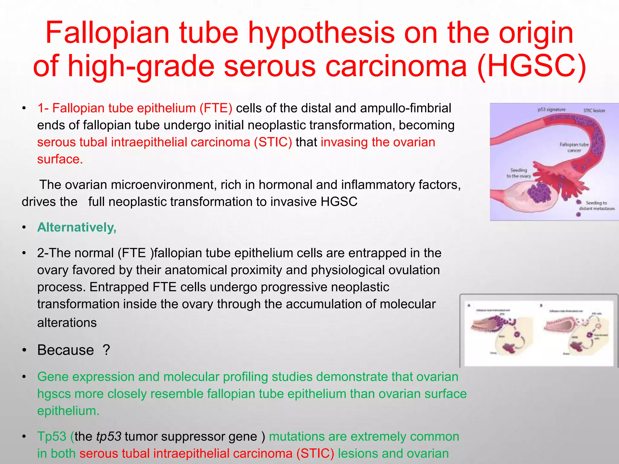 Salpingectomy for ovarian risk reduction | PPTX