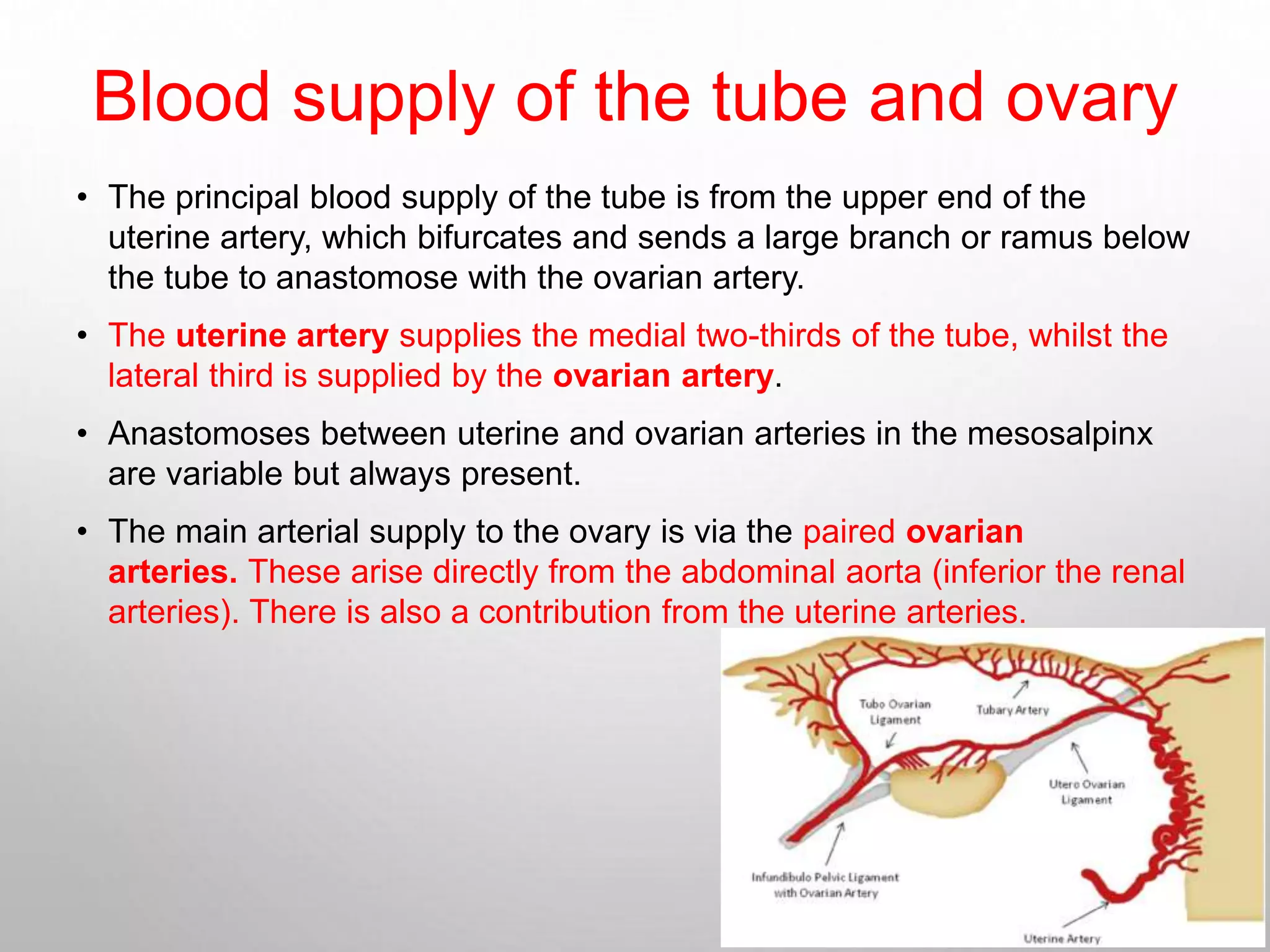Salpingectomy for ovarian risk reduction | PPTX