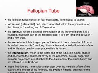 Salpingectomy for ovarian risk reduction | PPTX