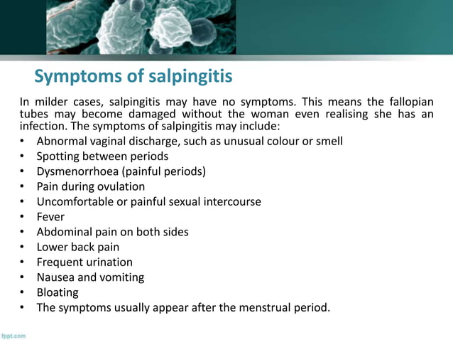 Salpingitis | PPTX | Infertility | Reproductive Health