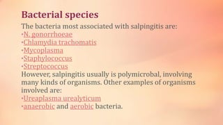 SALPINGITIS ppt.pptx for nursing students | PPTX