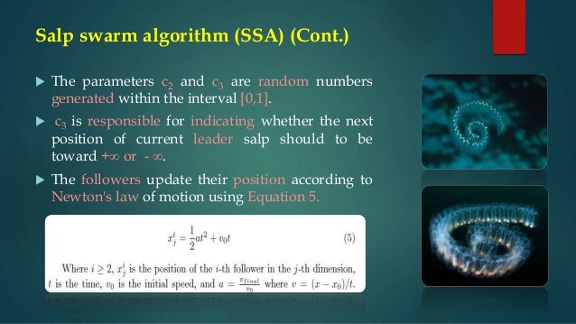 Salp swarm algorithm Salp swarm algorithm