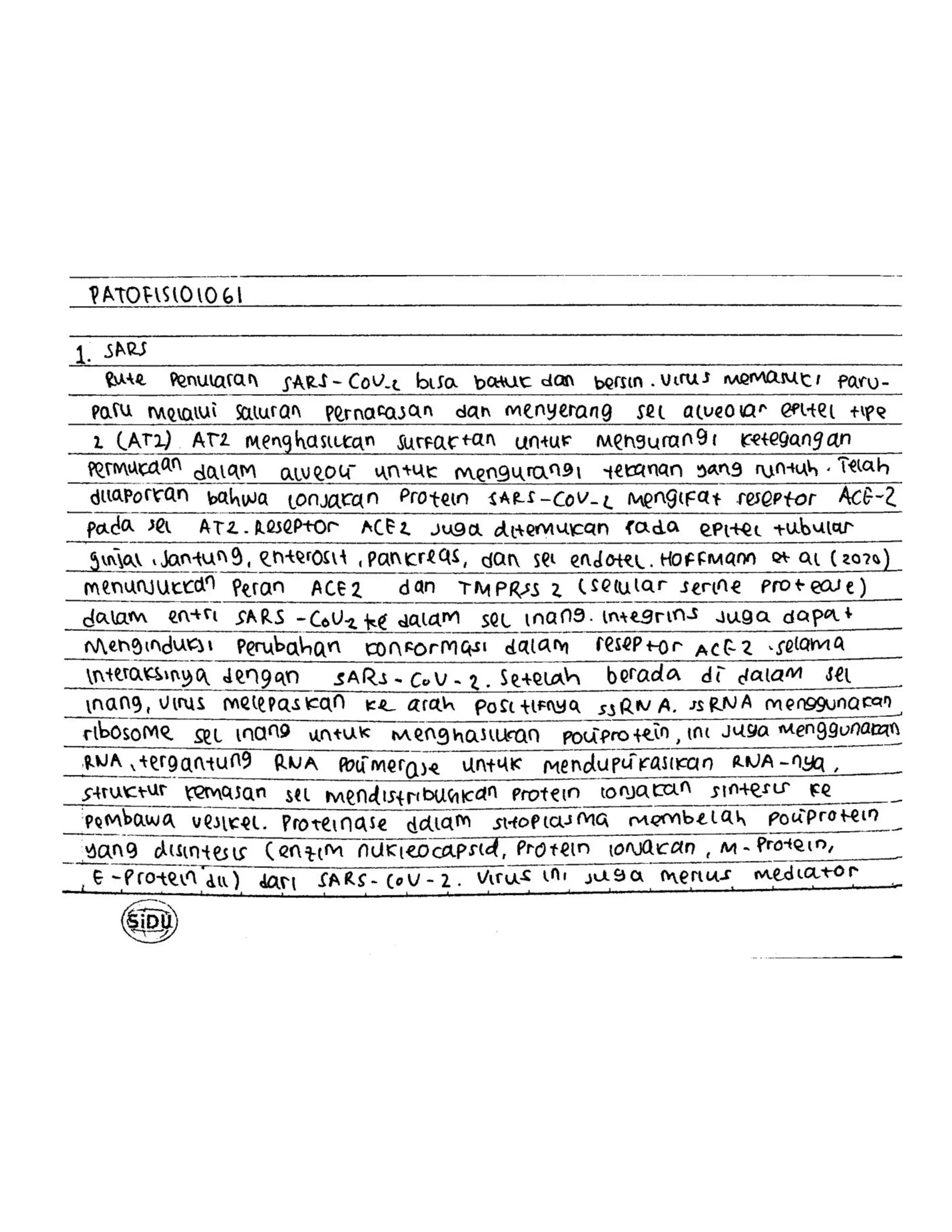 Patofisiologi dan Etiologi SARS dan MERS | PDF
