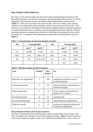 Salt | PDF