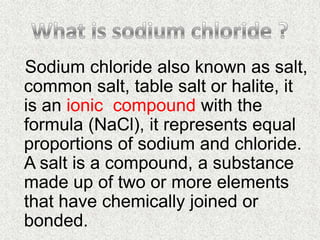 Salt | PPTX