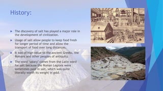 Salt | PPTX