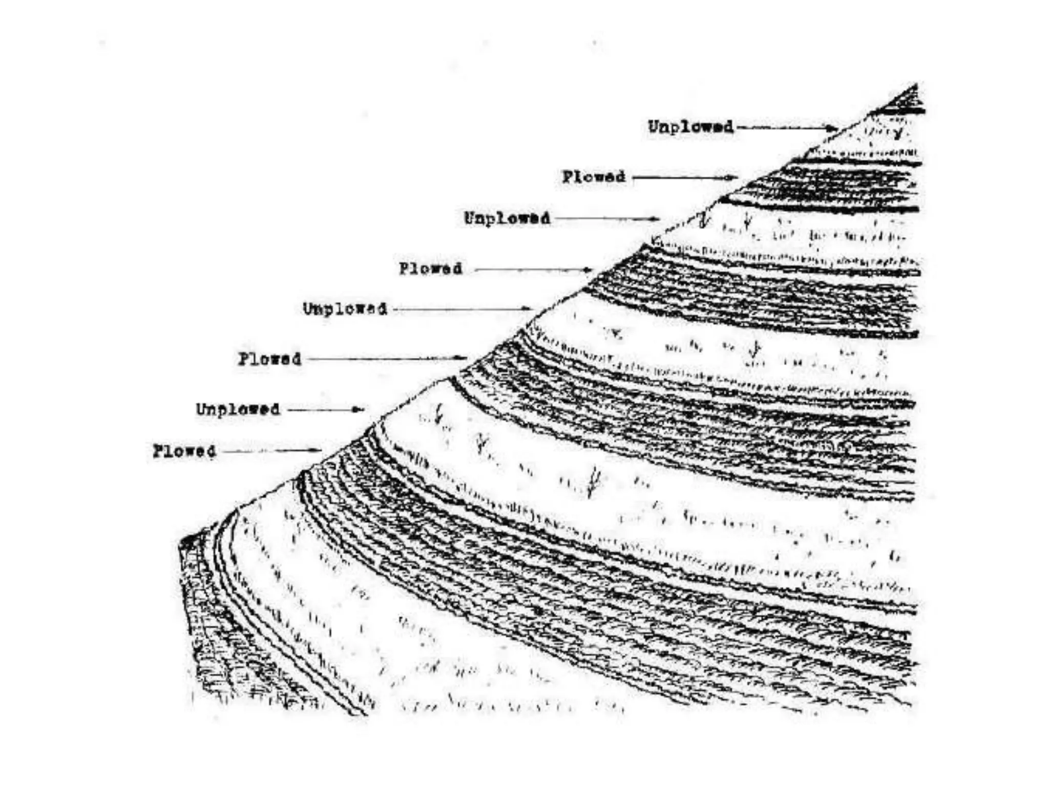 Sloping agriculture land technology | PPTX
