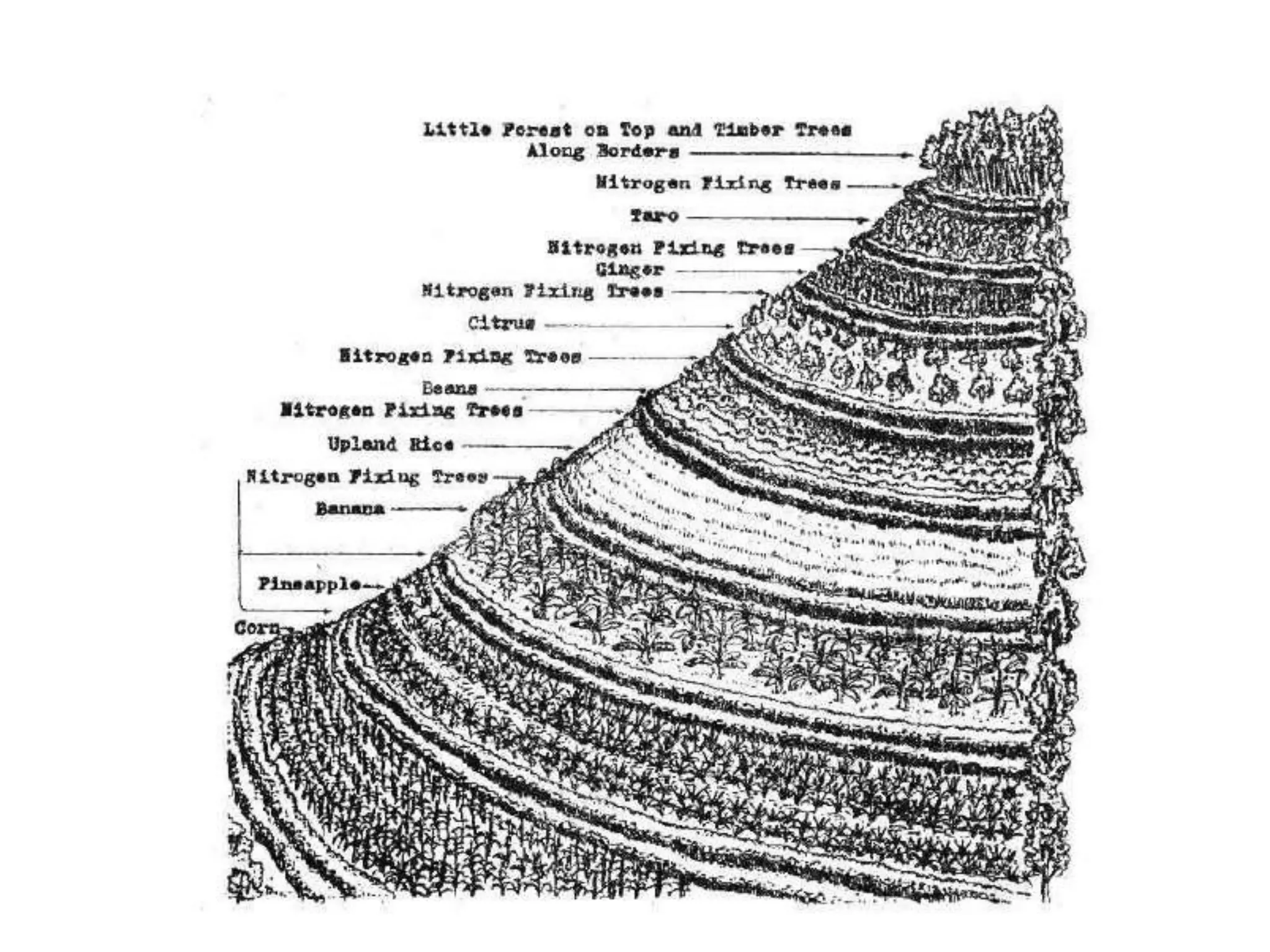 Sloping agriculture land technology | PPTX