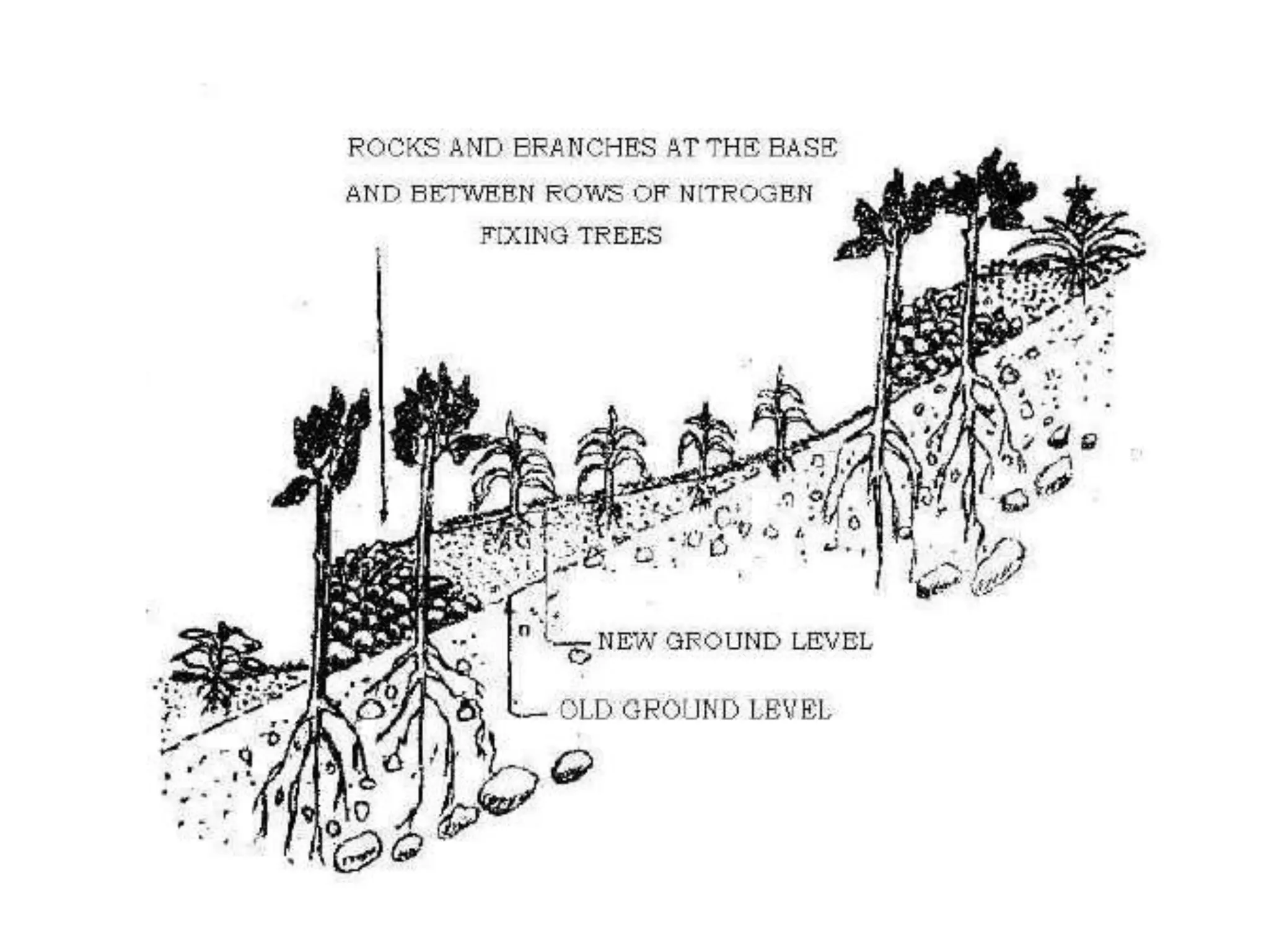 Sloping agriculture land technology | PPTX