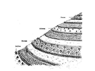 Sloping agriculture land technology | PPTX