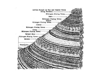 Sloping agriculture land technology | PPTX