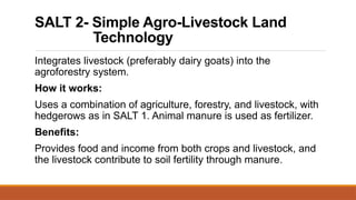 SALT-SYSTEM for agriculture 2204937272739 | PPTX