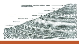 SALT-SYSTEM for agriculture 2204937272739 | PPTX