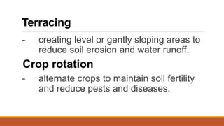 SALT-SYSTEM for agriculture 2204937272739 | PPTX