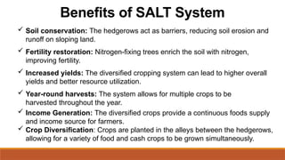 SALT-SYSTEM for agriculture 2204937272739 | PPTX