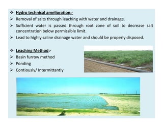 Salt Affected Soil.pherfuhrebfhuencfuecbhucbptx | PPT