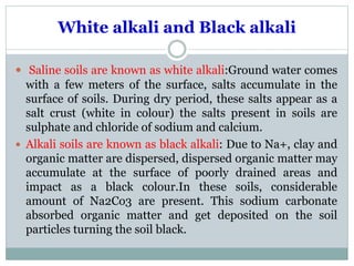 Salt affected soil(PG).ppt