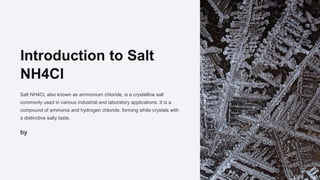 Salt analysics investigatory project class 11.pptx