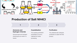 Salt analysics investigatory project class 11.pptx