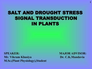 SALT AND DROUGHT STRESS in horticulture crops.PPT
