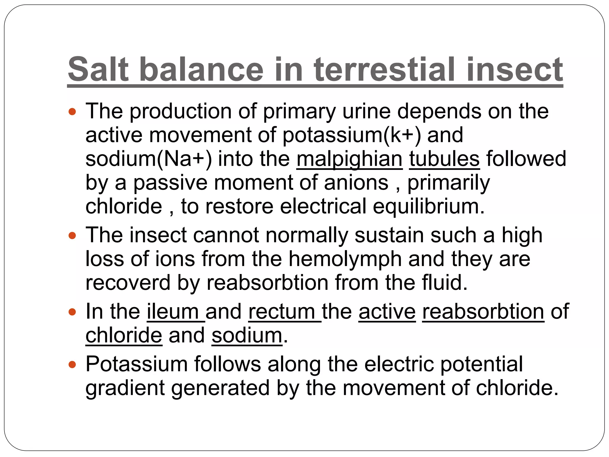 Salt and water regulation in insects | PPTX