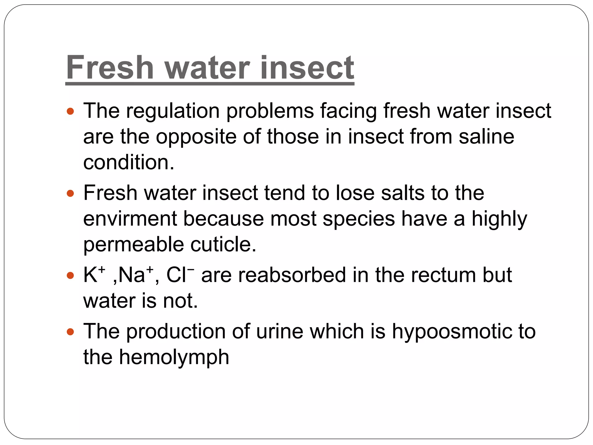 Salt and water regulation in insects | PPTX