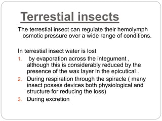 Salt and water regulation in insects | PPTX