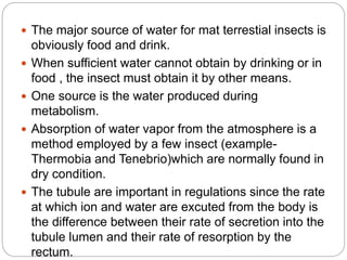 Salt and water regulation in insects | PPTX