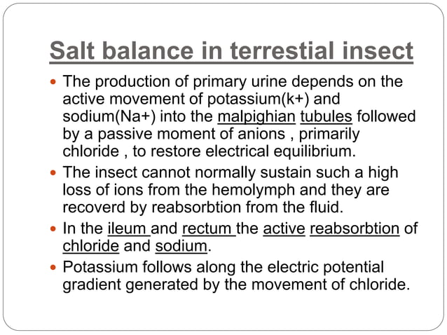 Salt and water regulation in insects | PPTX