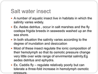 Salt and water regulation in insects | PPTX