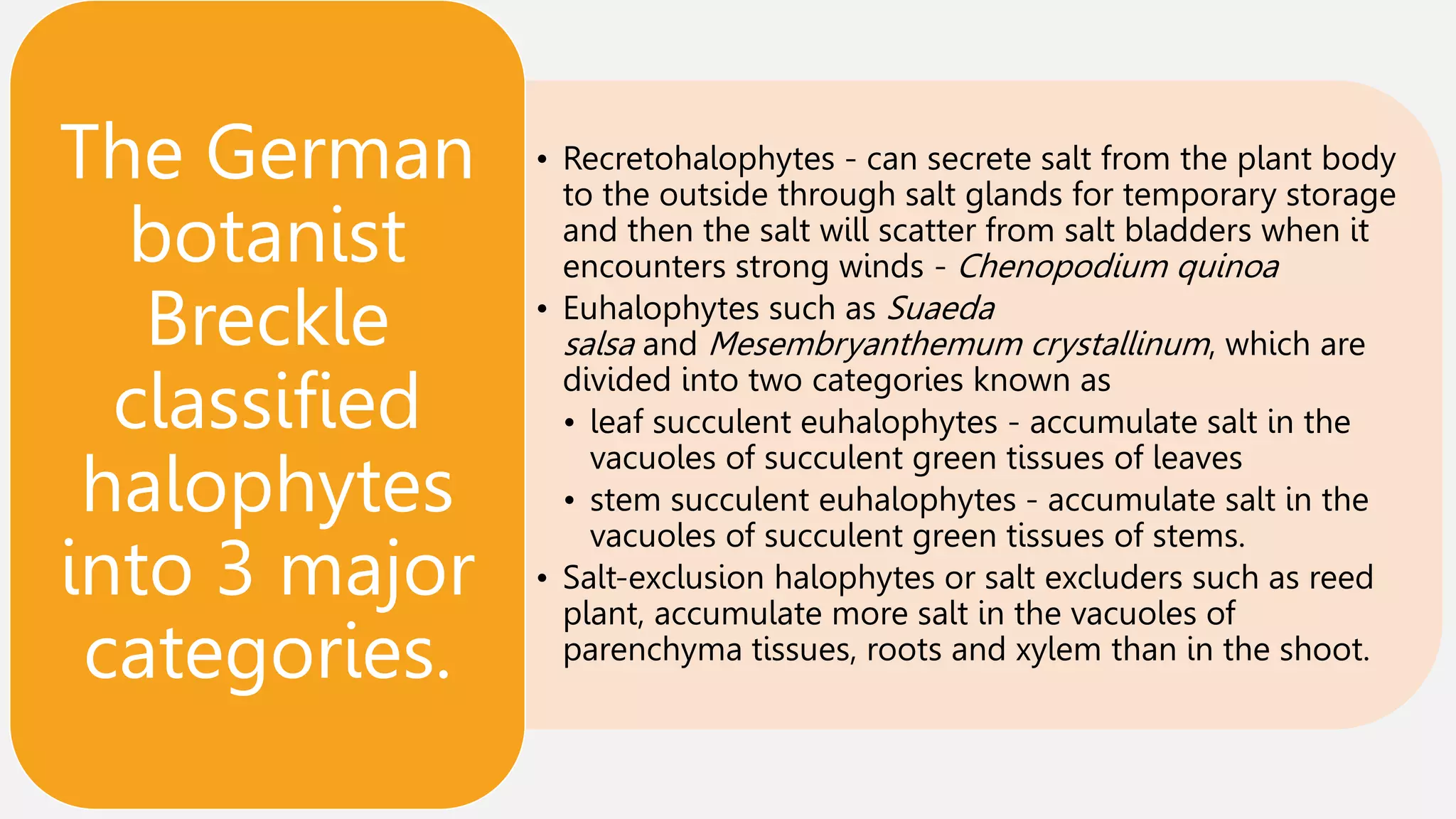 SALT EXCLUSION.pptx