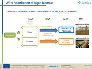 Saltgae biomass valorisation - SaltGae Final event | PPT