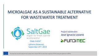 SaltGae project overview - SaltGae Final Event | PPT