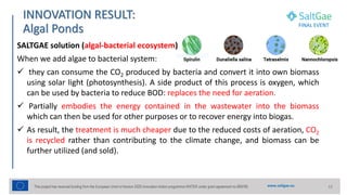 SaltGae project overview - SaltGae Final Event | PPT