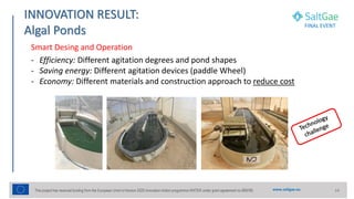 SaltGae project overview - SaltGae Final Event | PPT