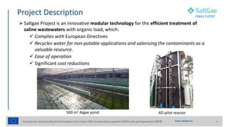 SaltGae project overview - SaltGae Final Event | PPT