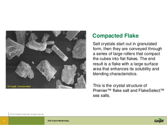 Thought for Food: Salt Crystal Morphology