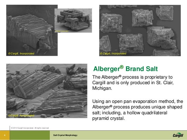 Thought for Food: Salt Crystal Morphology