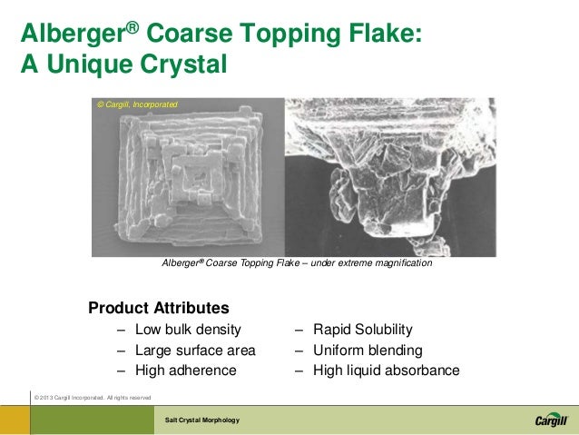 Thought for Food: Salt Crystal Morphology