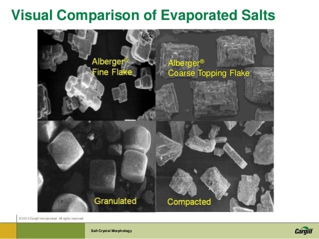 Thought for Food: Salt Crystal Morphology