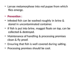Salting of fish - Methods of fish preservation | PPTX