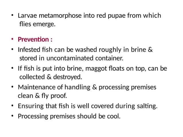 Salting of fish - Methods of fish preservation | PPTX