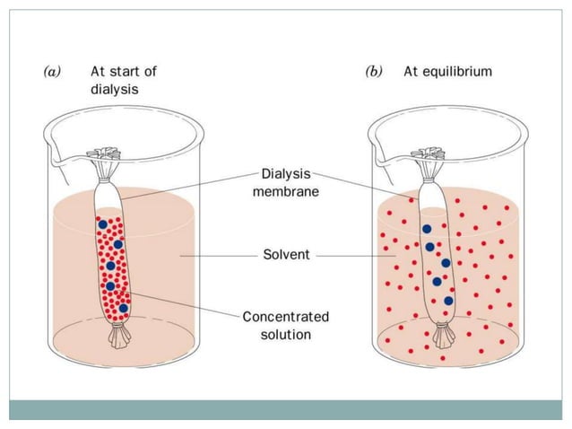 Salting in , salting out and dialysis 233 bch | PPTX