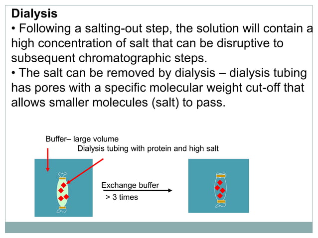 Salting in , salting out and dialysis 233 bch | PPTX
