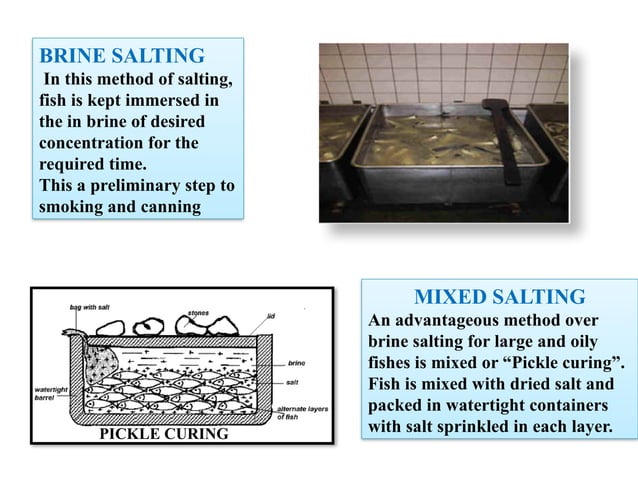 SALTING AND DRYING IN FISH PRESERVATION | PPTX | Weather | Science