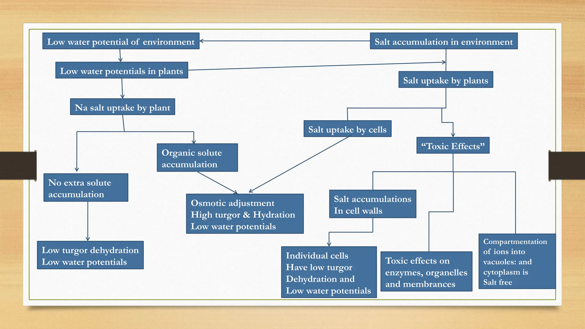 SALT INJURY from Problematic soils and water | PPTX