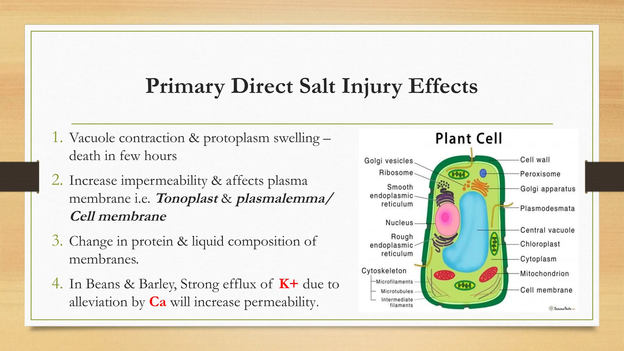 SALT INJURY from Problematic soils and water | PPTX