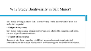 Salt Mines and Biodiversity: Historical Impact, Biotic & Abiotic ...